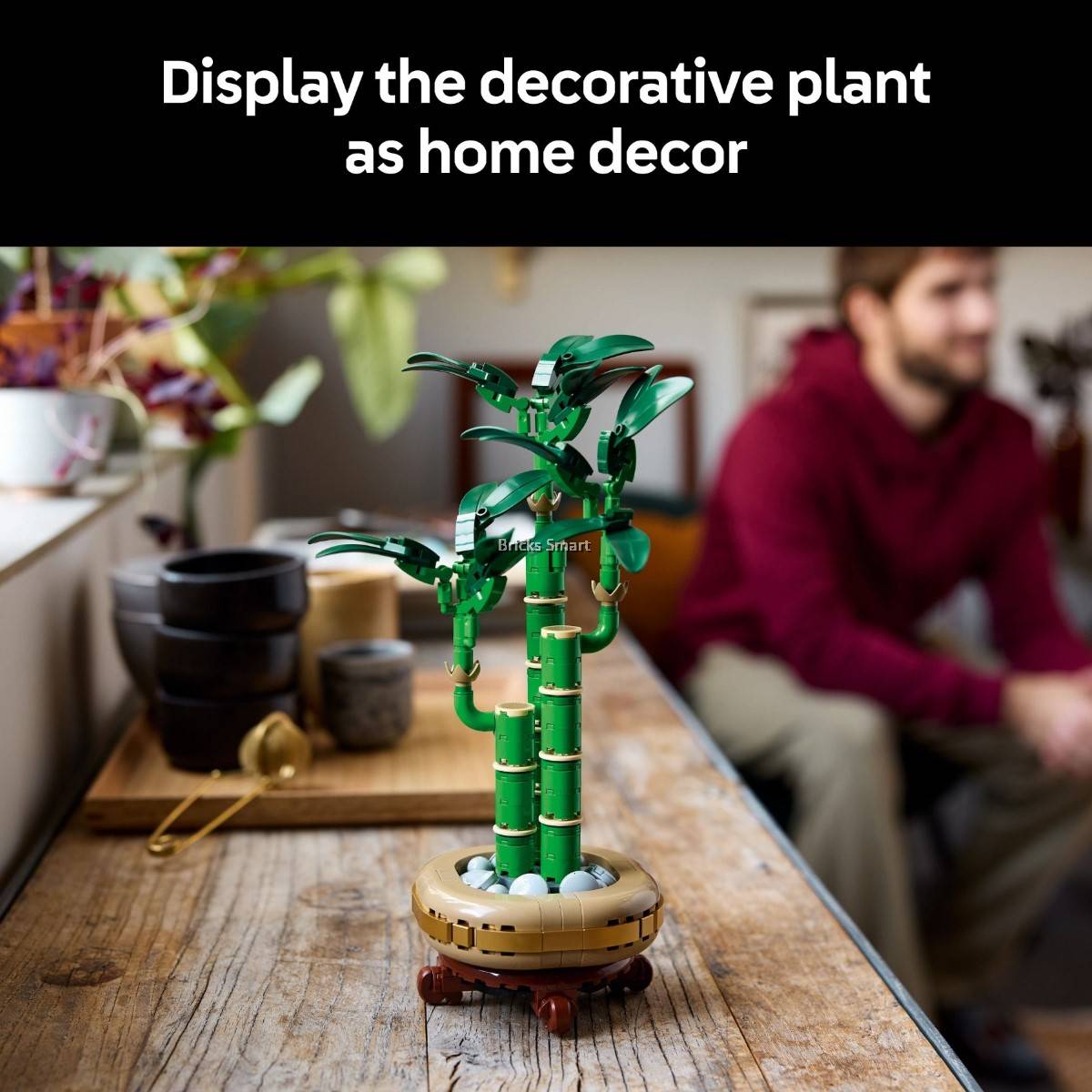 LEGO 10344 Botanicals Icons Lucky Bamboo Building Set (325 Pieces)