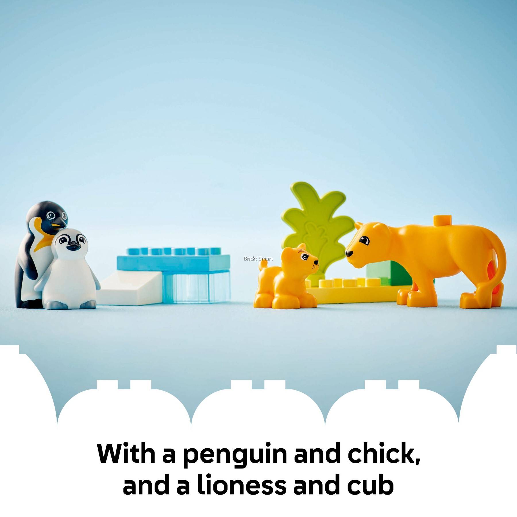 LEGO 10442 DUPLO Wild Animal Families: Penguins & Lions Building Toy ...