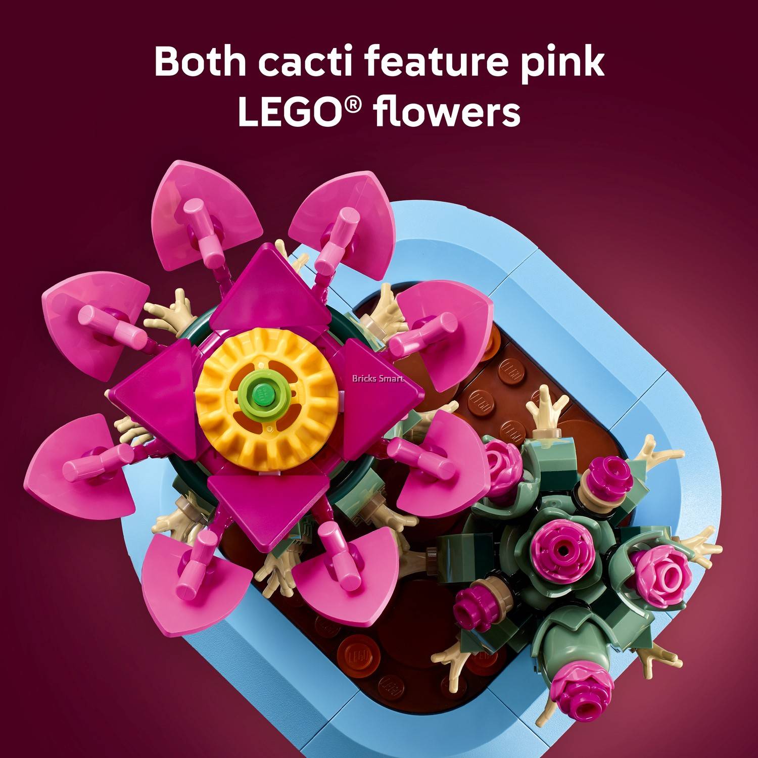 LEGO 11509 Botanicals Flowering Cactus Plants Decor Building Set for ...