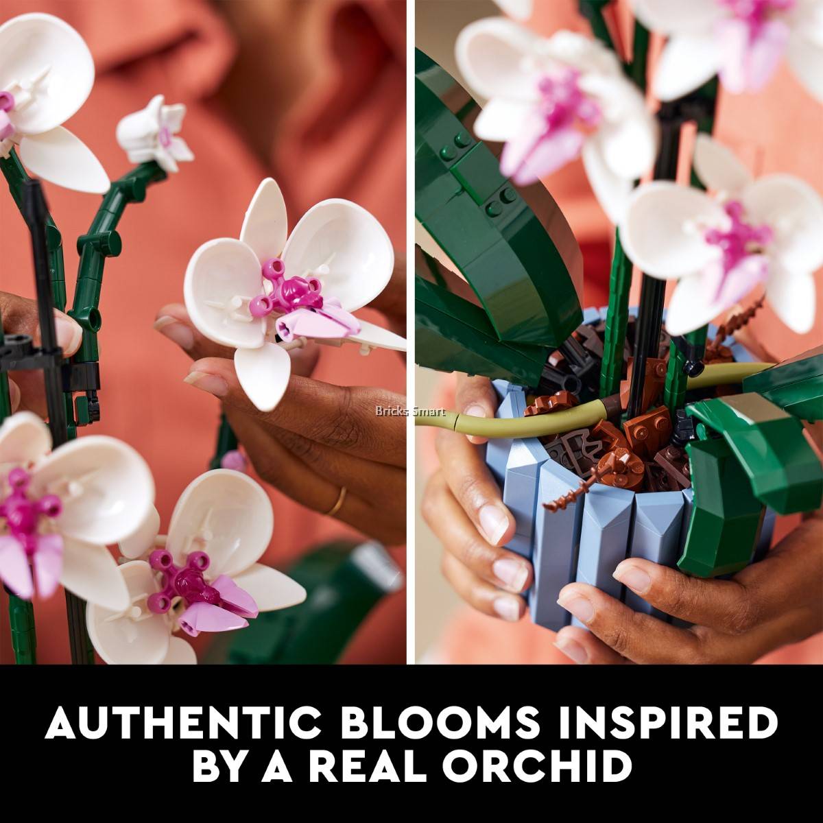 10311 LEGO Creator Expert Orchid (608 Pieces)