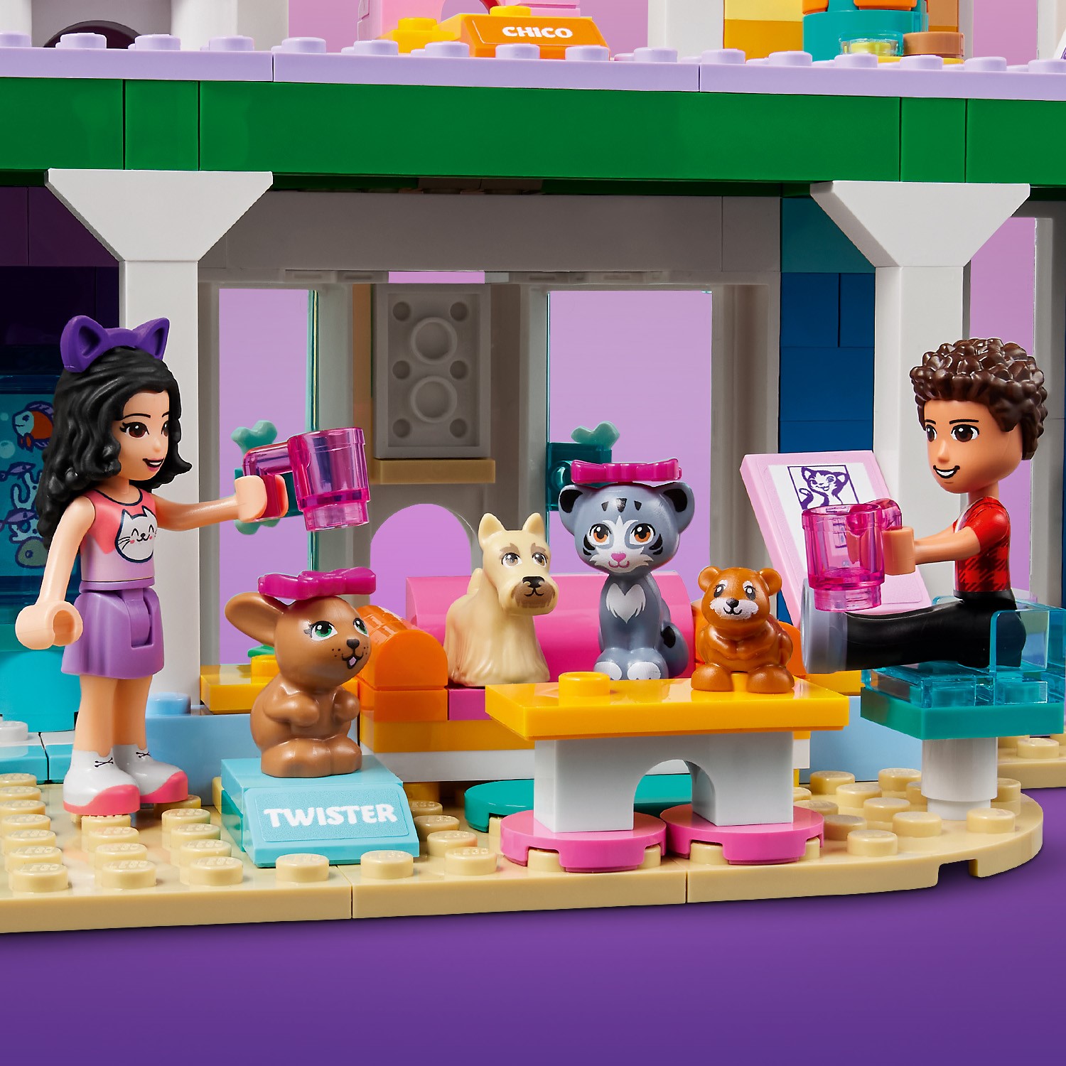 41718 LEGO Friends Pet Day-Care Center (593 Pieces)